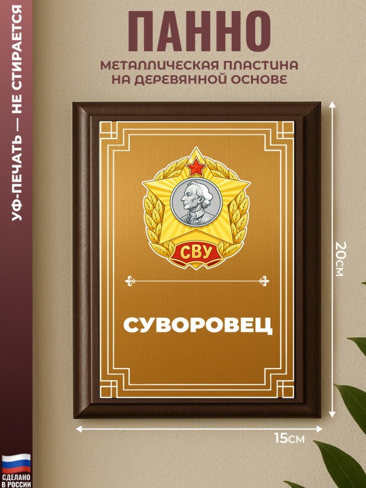Настенный диплом "Суворовец"