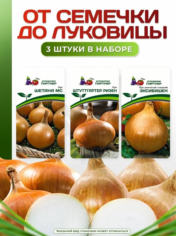 Семена набор: От семечки до луковицы - Эксибишен, Шетана, Штуттгартер Ризен