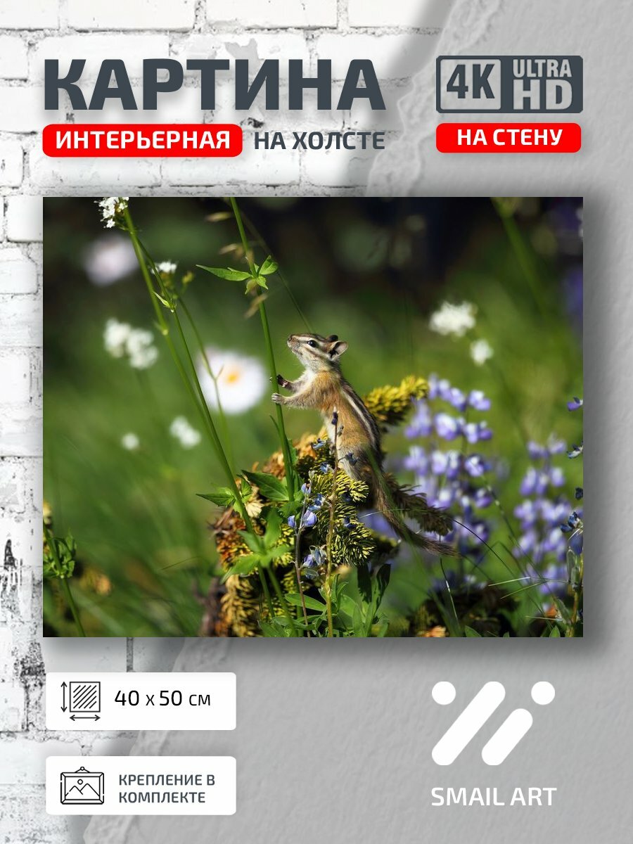 Картина на холсте интерьерная 40 на 50 на стену Бурундук Mood для студии атмосфера интерьер