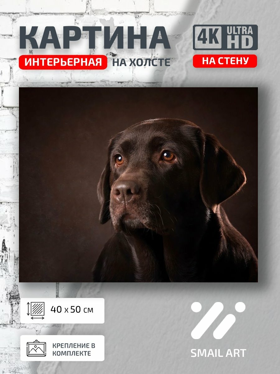 Картина на холсте интерьерная 40 на 50 на стену Взгляд Animal для детской animal style