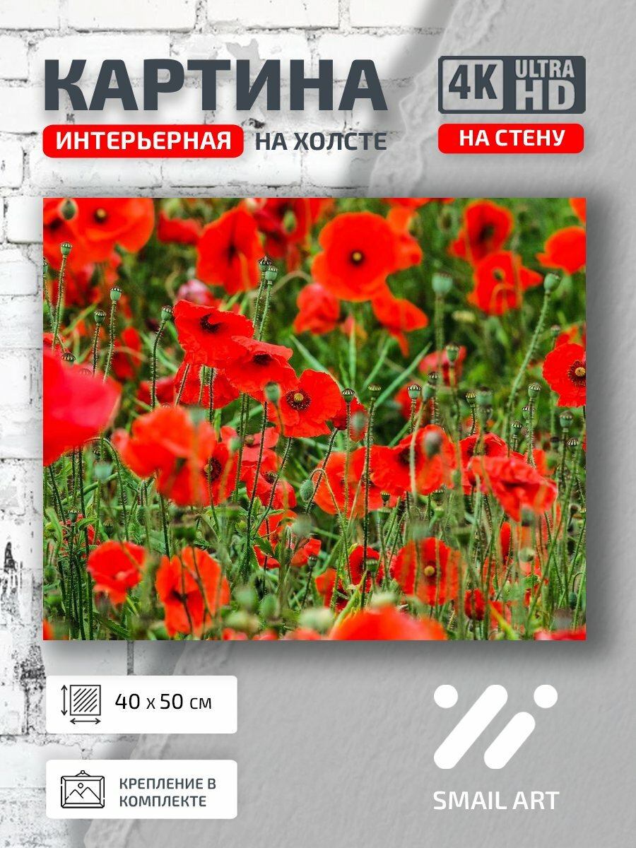 Картина на холсте интерьерная 40 на 50 на стену Цветы Landscape для кабинета пейзаж декор