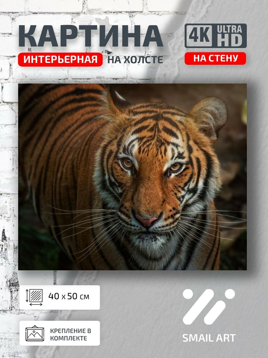 Картина на холсте интерьерная 40 на 50 на стену крупным планом для студии атмосфера