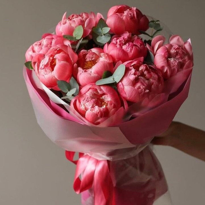 Букет из коралловых пионов 9 шт с эвкалиптом, красивый букет цветов, шикарный, премиум цветы, премиум букет