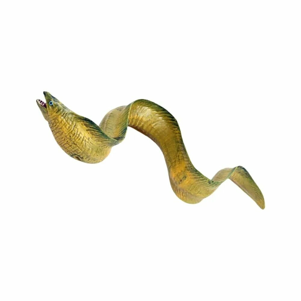 Модель морского угря, - A