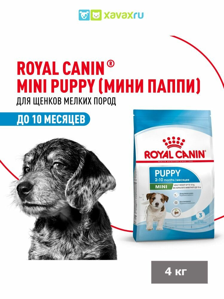 Сухой корм Royal Canin Mini Puppy для щенков мелких пород в возрасте до 10 месяцев, 4 кг