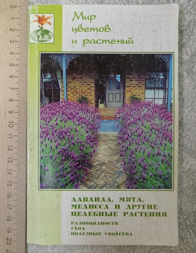 Лаванда, мята, мелисса и другие целебные растения. Мир цветов и растений.