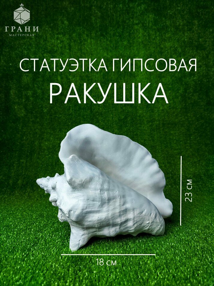 Статуэтка гипсовая "Ракушка", декоративная ваза для сухоцветов, 23х18, морской декор для интерьера, Мастерская "грани"