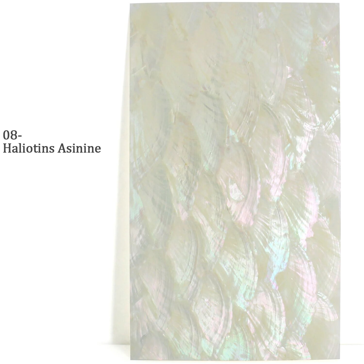 Лист бумаги из абалона для инкрустации 08 Haliotins Asinine