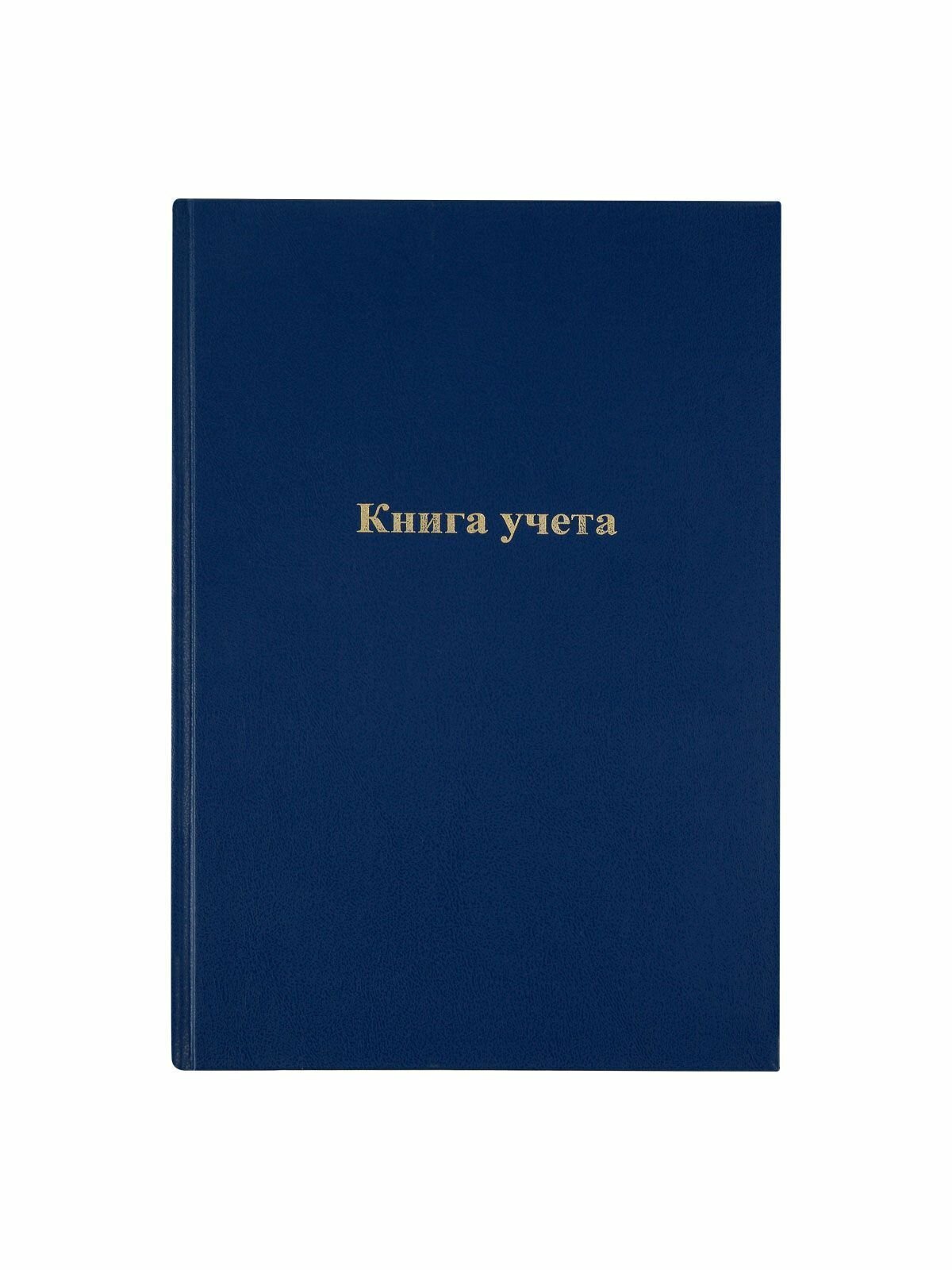 Книга учета А4 96 листов клетка газетный бумвинил синий