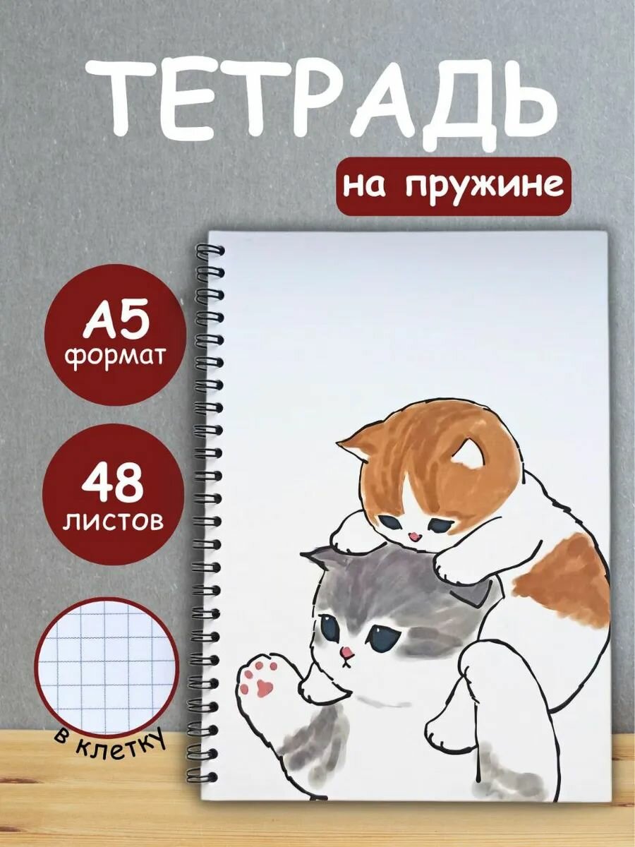 Тетрадь в клетку 48 листов на пружине , блокнот А5 Милые котики