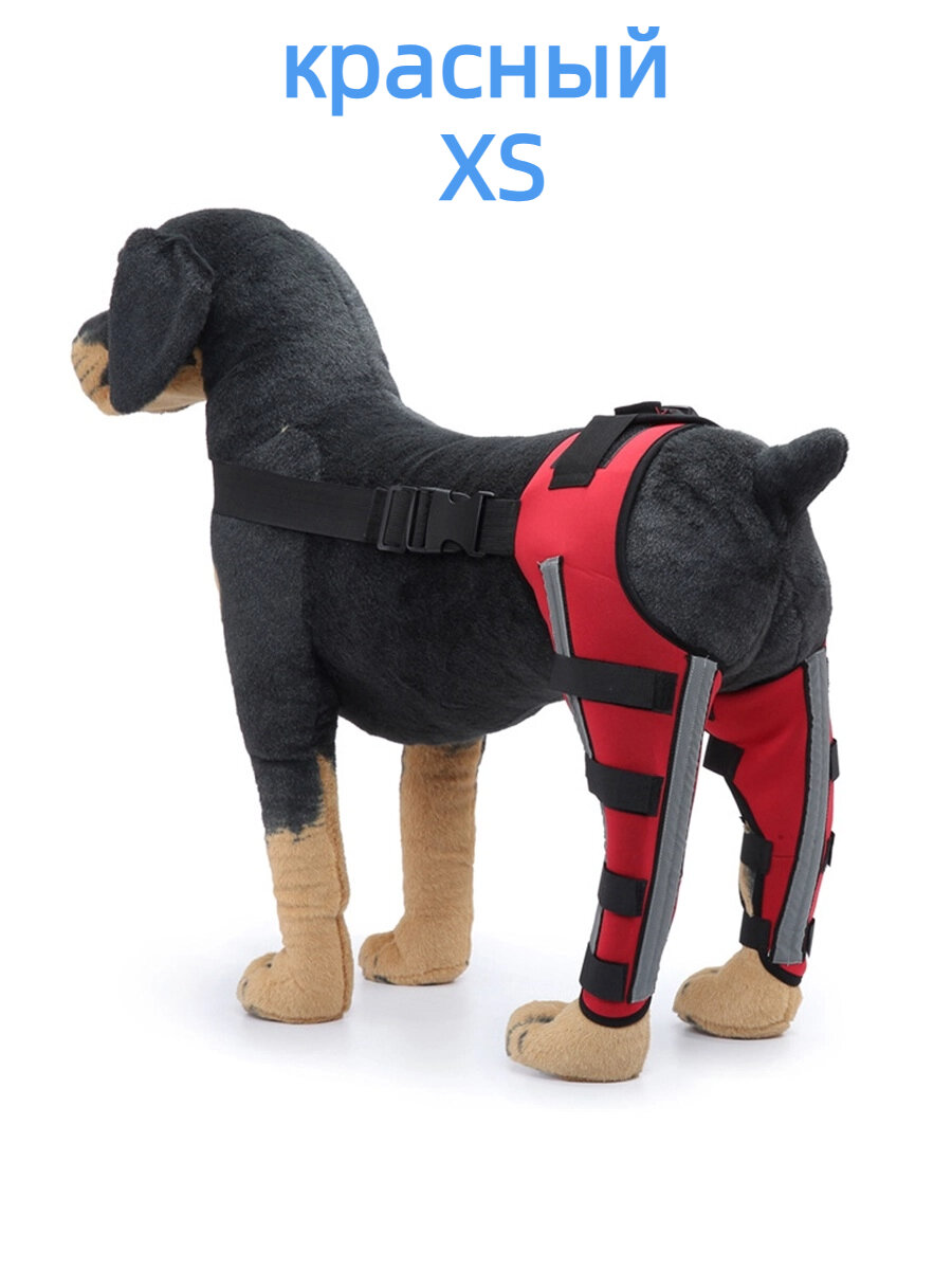 Ходунки для собак и кошки, Есть эластичность, со светоотражающими полосами, водонепроницаемость, применимый объект: кошки собаки и другие домашние животные, применимого пола: общий