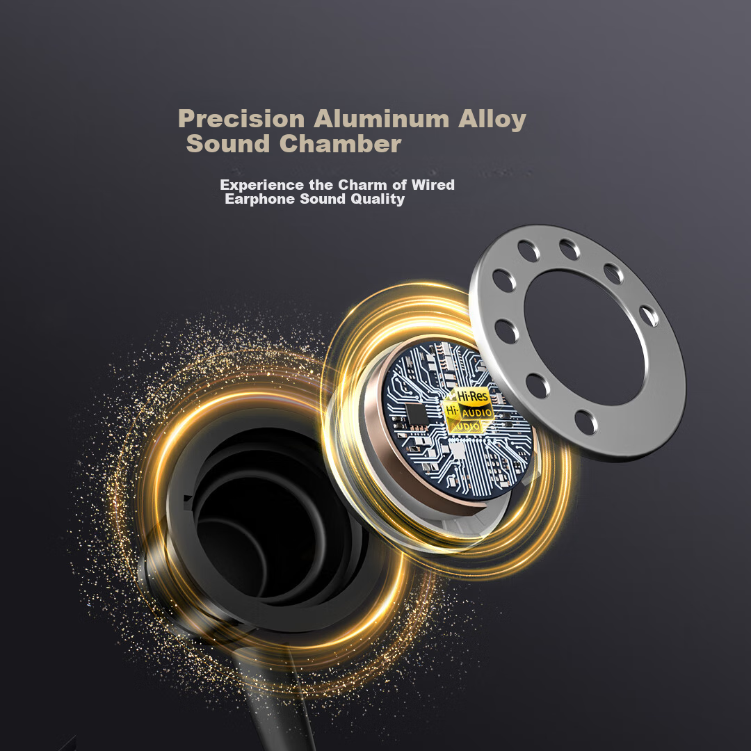 1MORE P20 Dual Driver In-Ear Headphones HiFi Hi-Res Type-C Wired Earphones Black for Huawei Xiaomi Apple