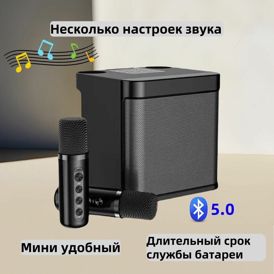 Караоке-система Караоке система для дома с двумя микрофонами