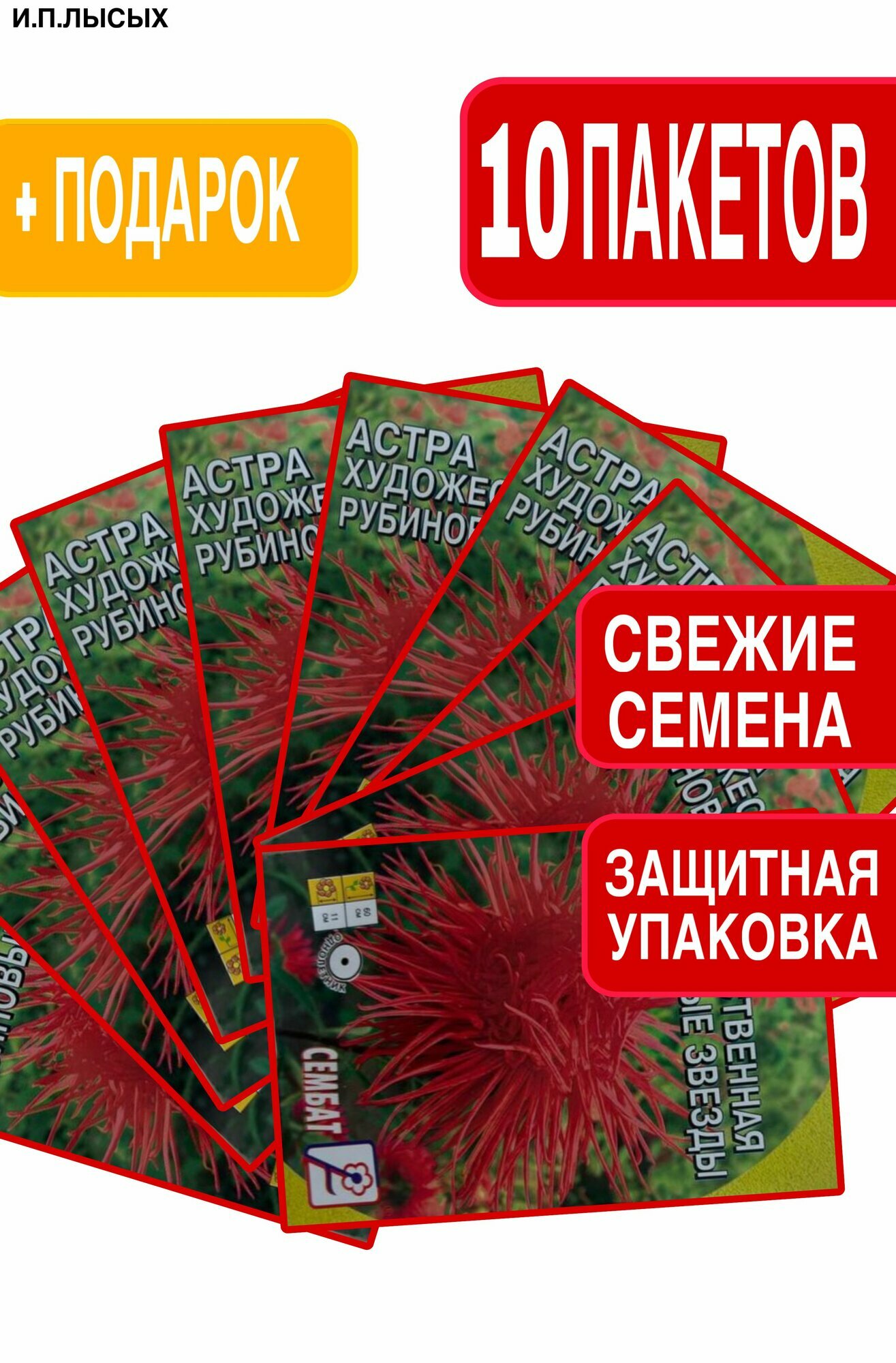 Семена Астра "Художественная Рубиновые звёзды"