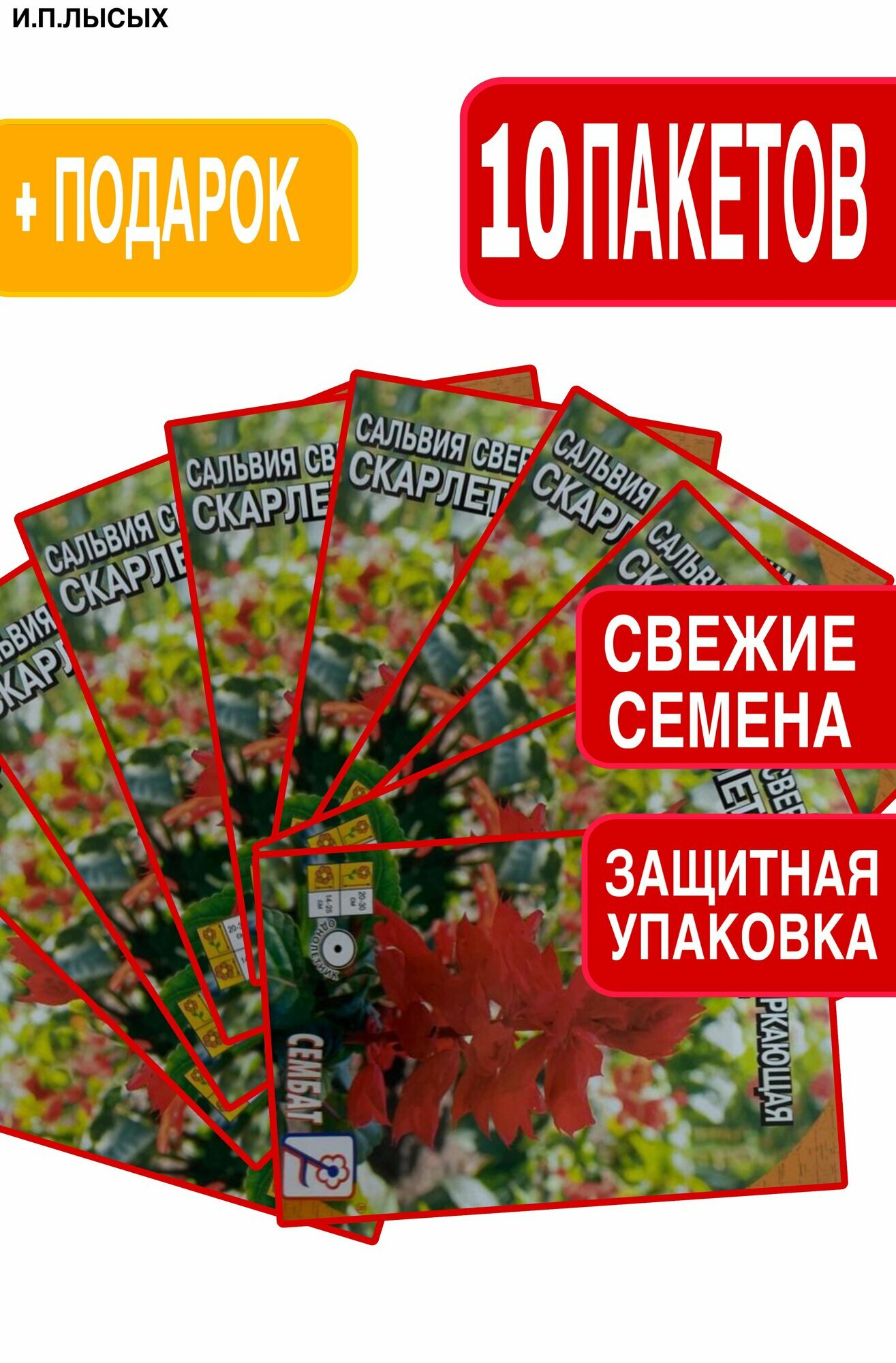 Семена Сальвия "Сверкающая Скарлет"