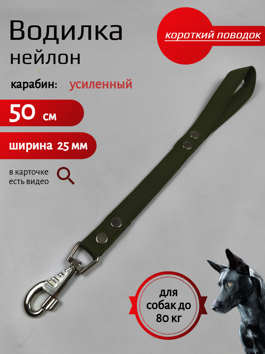 Мини-поводок Хвостатыч для собак с усиленным карабином нейлон 50 см х 25 мм (зеленый)