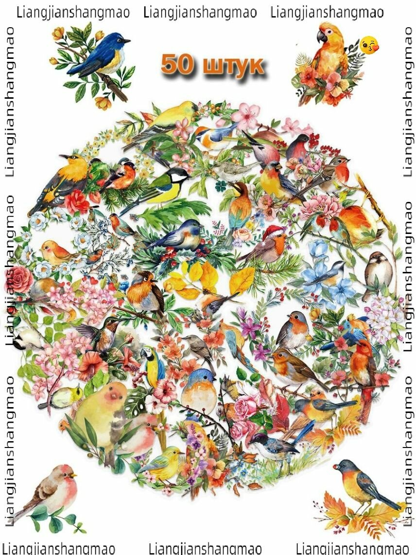 Эксклюзивные дудлнаклейки 50 штук птицы акварель