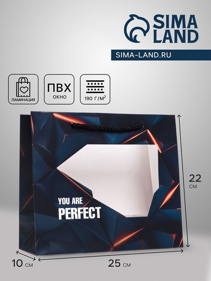 Пакет подарочный с окном Perfect, 25×10×22 см, 2 шт.