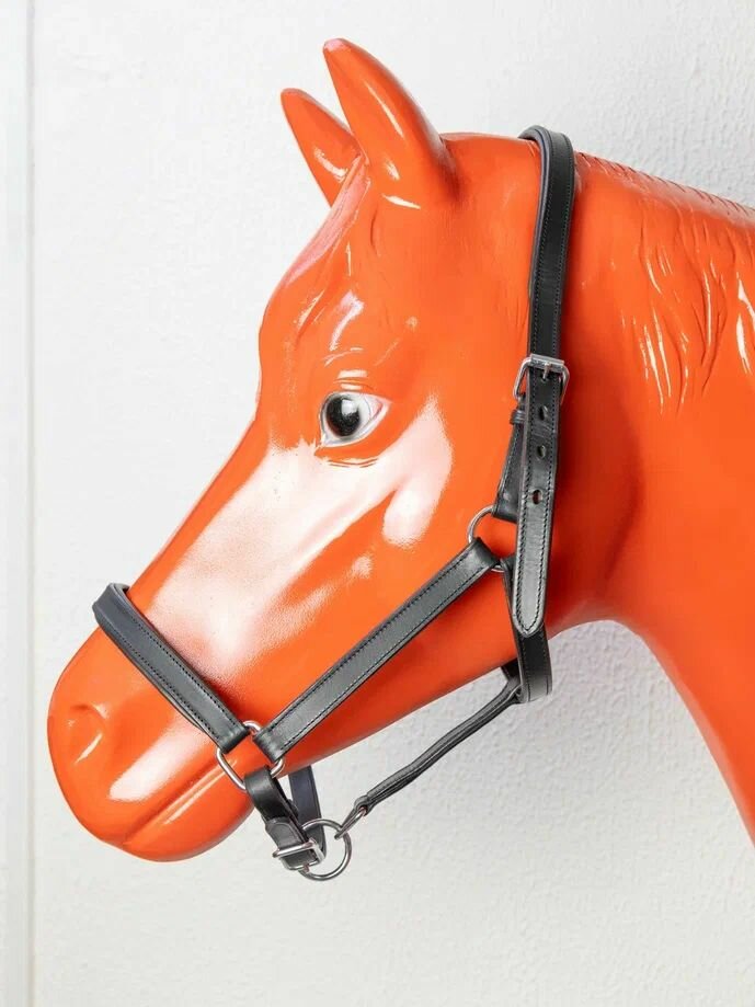 Кожаный недоуздок ECONOM HorsePlanet