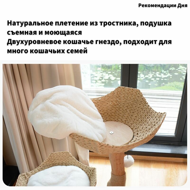 Когтеточка — фото 1