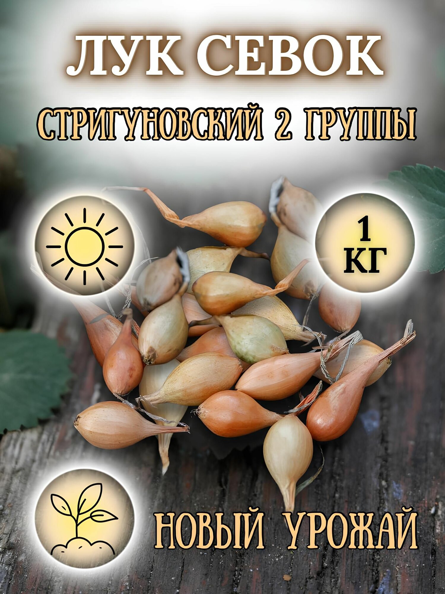 Лук-севок Стригуновский местный 1кг /на репку / Сорт лука для посадки /под зиму и весной / Старинный сорт лука Стригунок