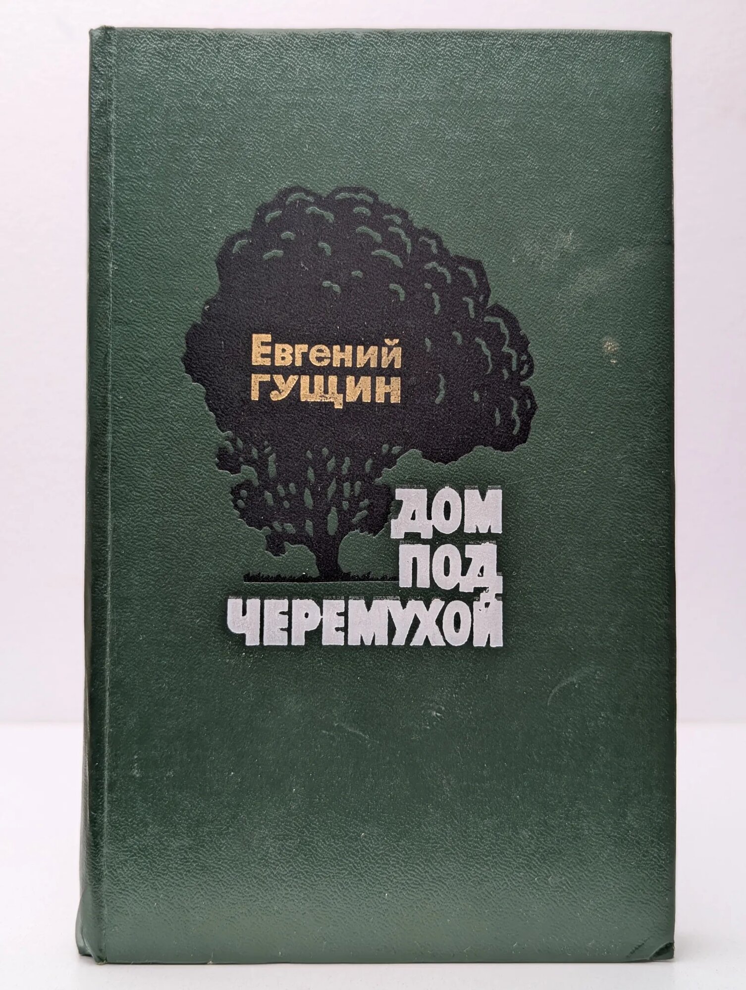 Дом под черемухой Гущин Евгений Геннадьевич 1983