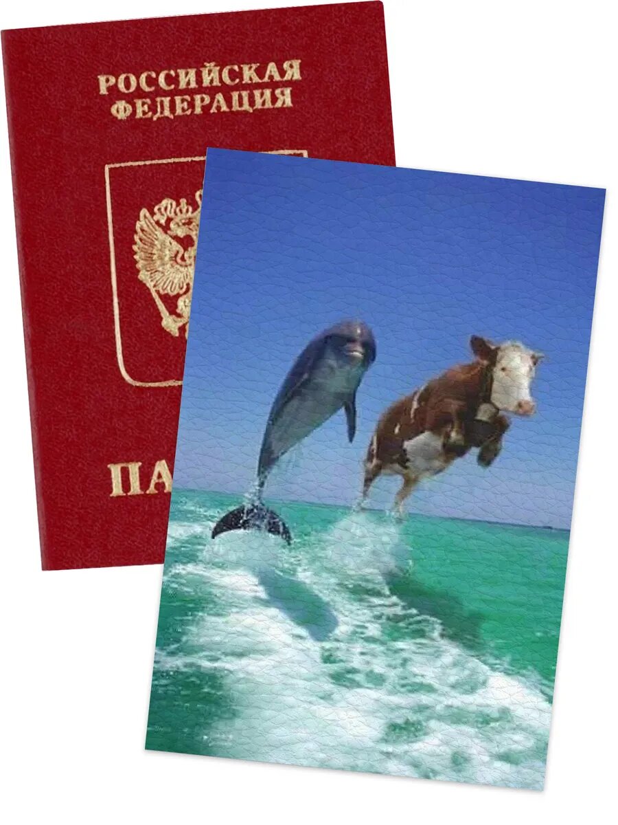 Обложка для паспорта