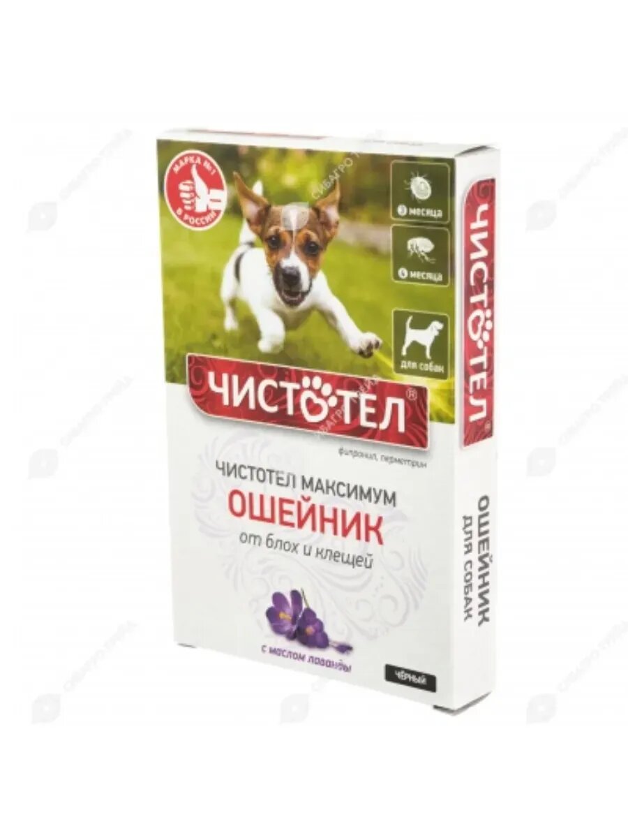Чистотел максимум ошейник для собак, чёрный
