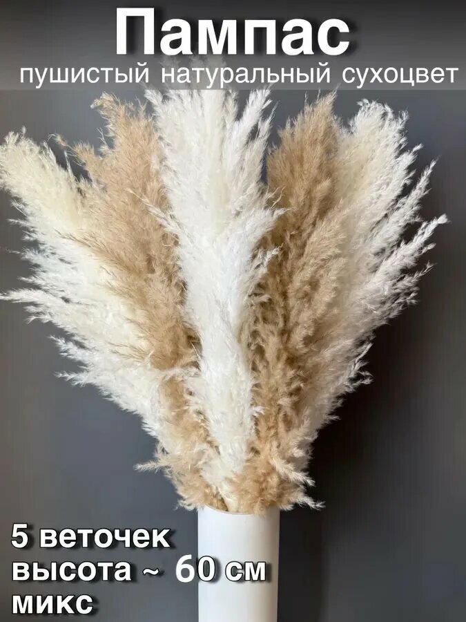 Сухоцветы Пампасная трава, 100 см, 5 шт