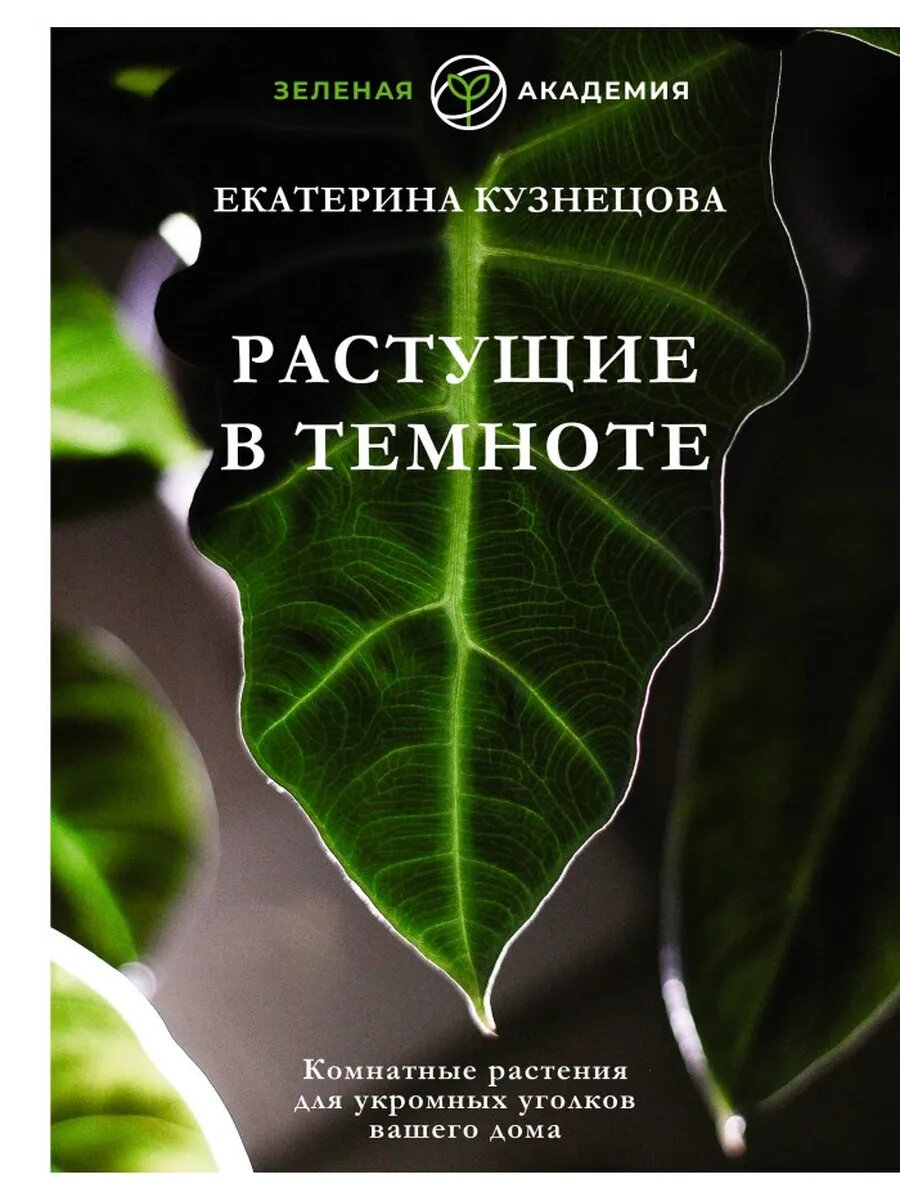 Растущие в темноте. Комнатные растения для укромных уголков