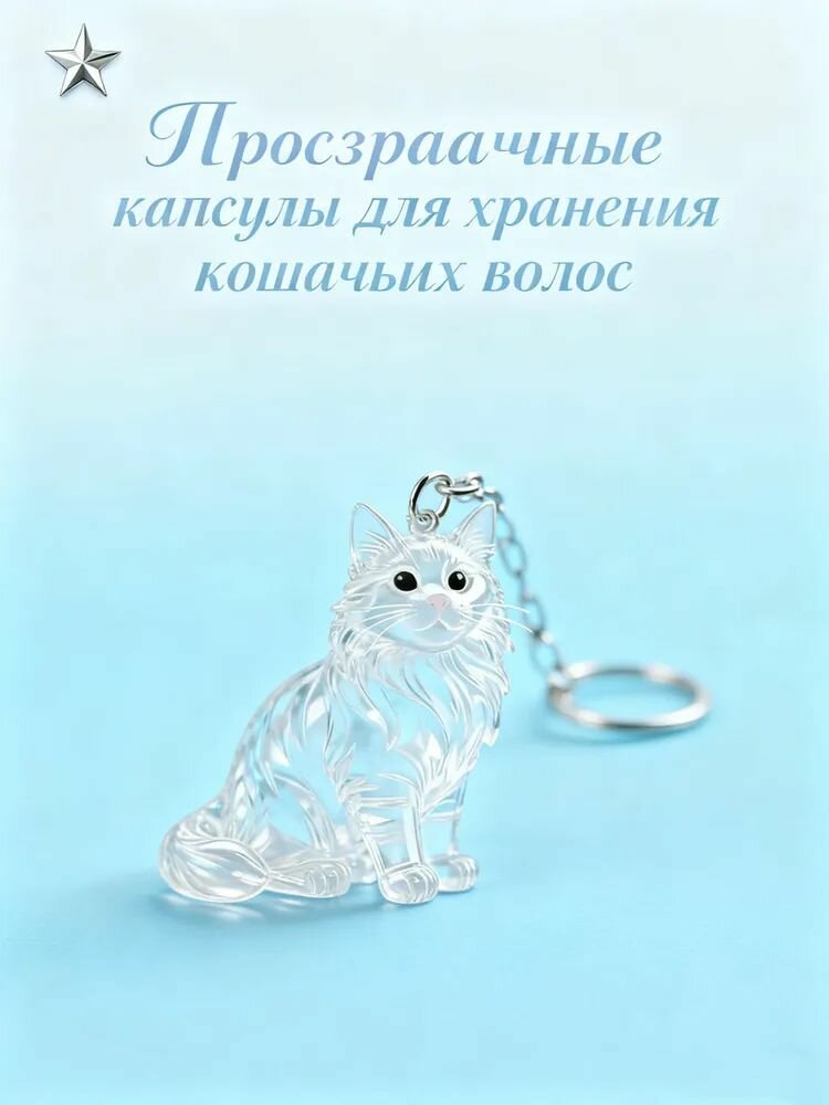 Коробка для хранения кошачьей шерсти, капсула для хранения кошачьей шерсти, кулон,