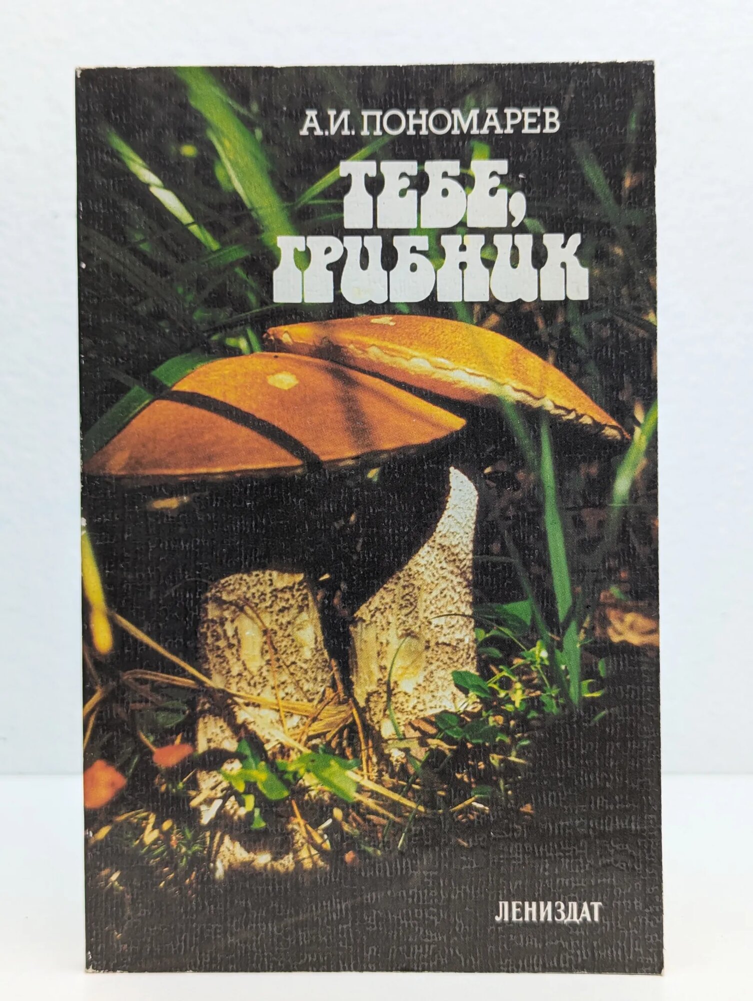 Тебе, грибник Пономарев Алексей Иванович 1987