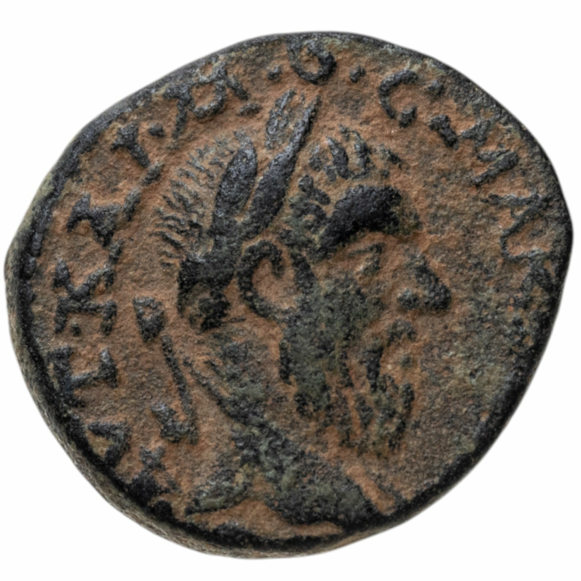 Римская империя, провинция Сирия, Макрин, 217-218 годы, Ассарий АЕ18 , Бронза, в сохранности VF-XF