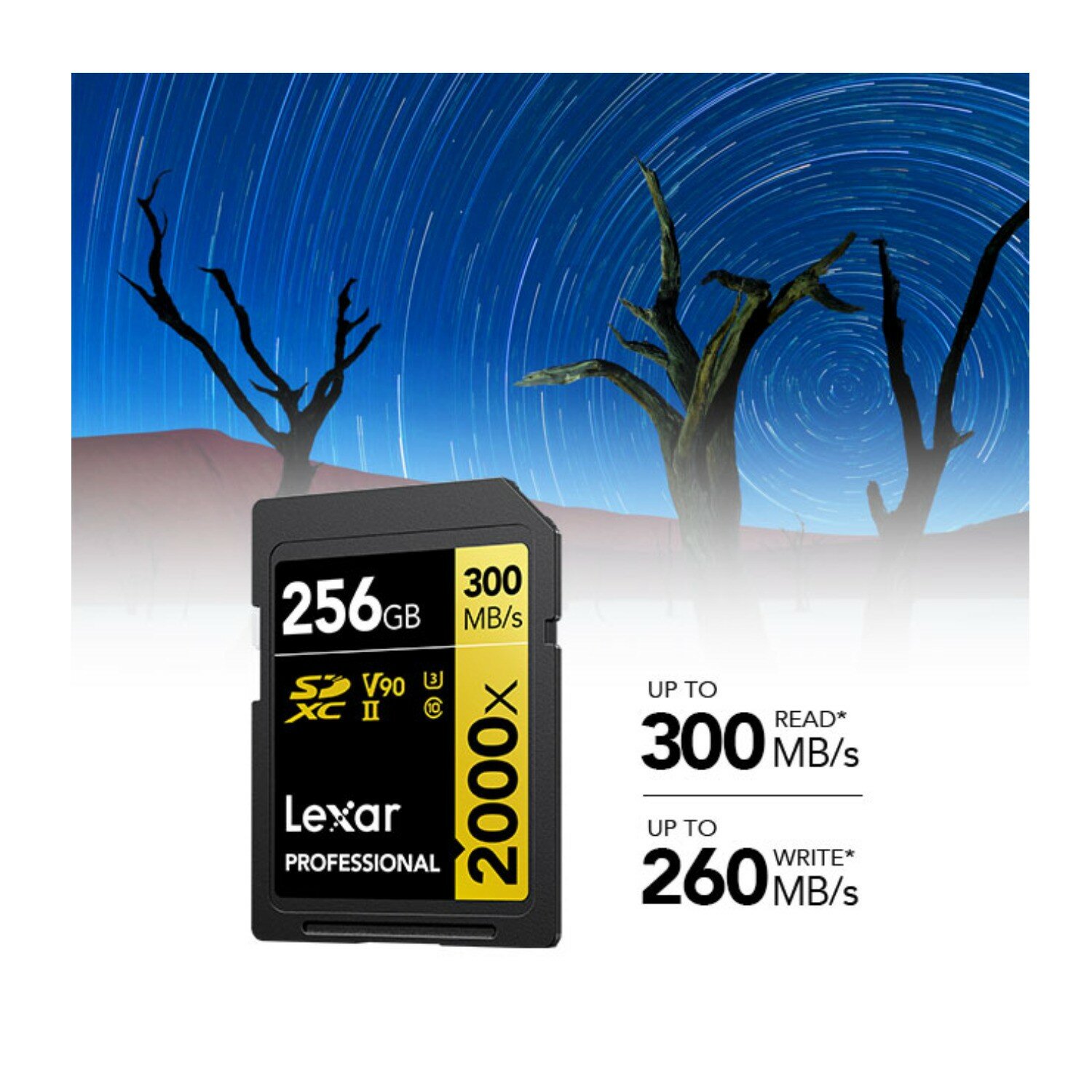 Карта памяти SDXC 256ГБ Lexar Professional 2000x SDXC UHS-II 300/260МБ/s C10 V90 U3 (LSD2000256G-BNNNG)