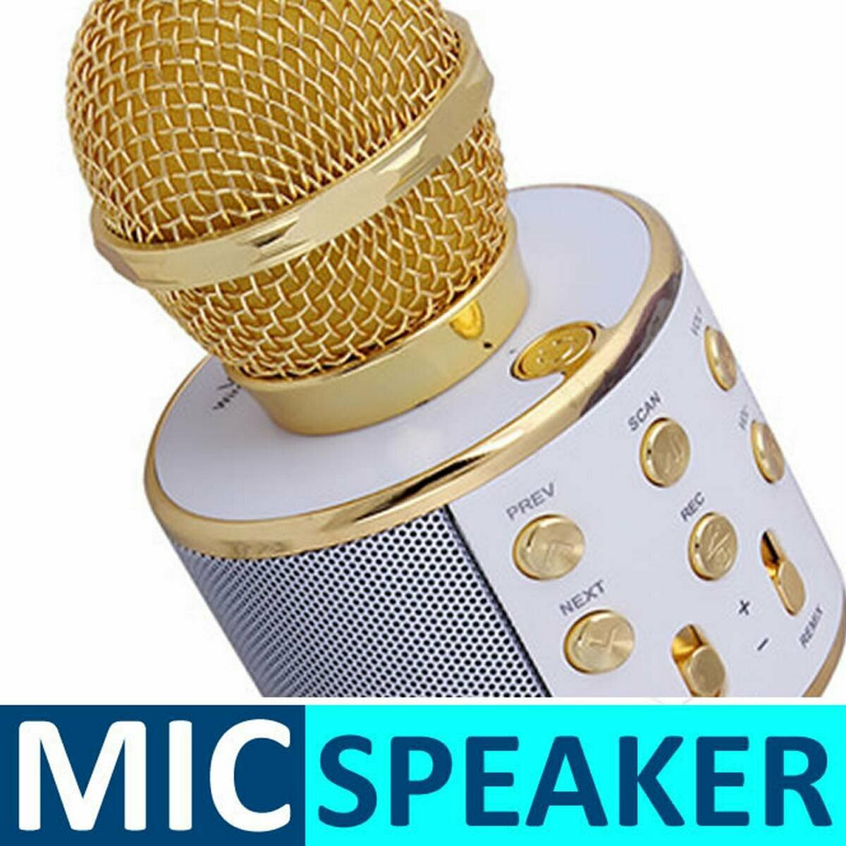 ARCWS858 Микрофон Динамик для Детей Echo Live Громкоговоритель