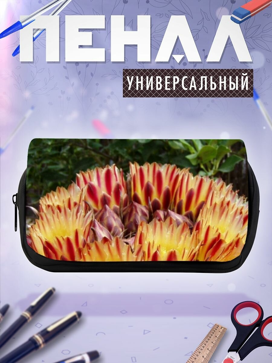 Школьный пенал цветковое растение растение