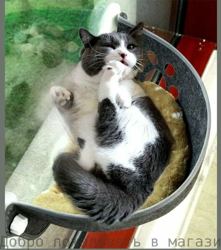 Подвесной гамак лежанка для кошек на окно на присосках