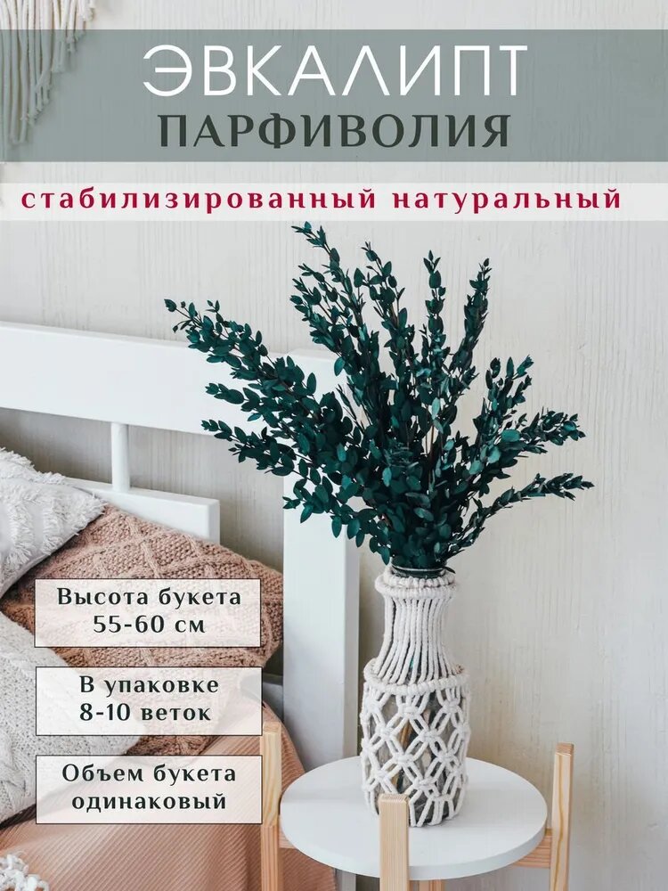 Стабилизированные цветы Эвкалипт, 50 см, 200 гр, 8 шт