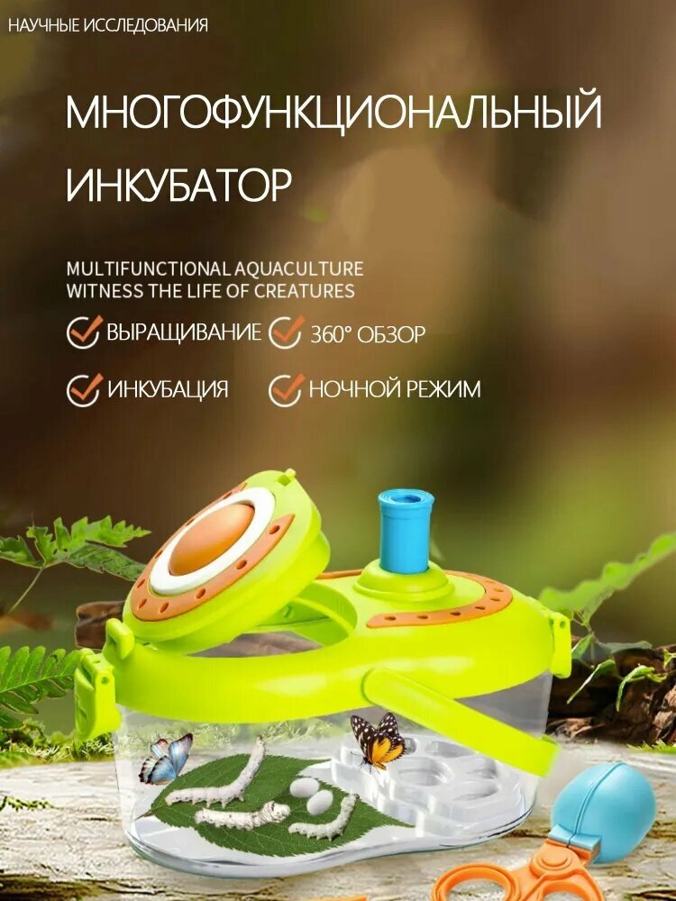 Многофункциональный ящик для наблюдения за насекомыми