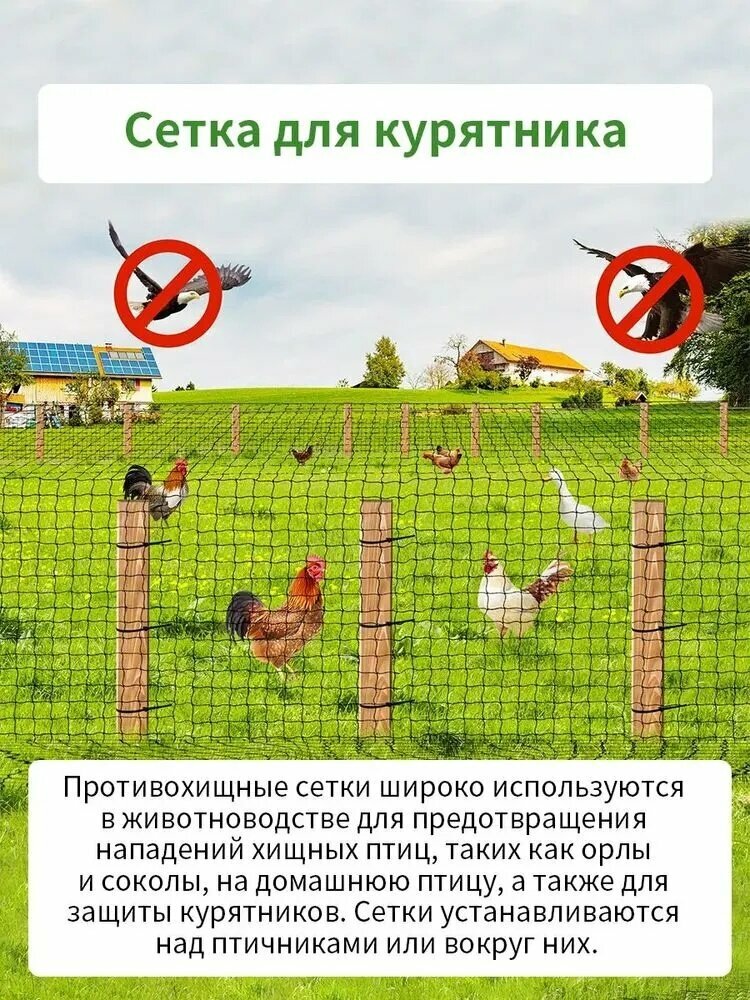 Сетки для защиты птицы, сетки для покрытия крыш курятников,10х5м