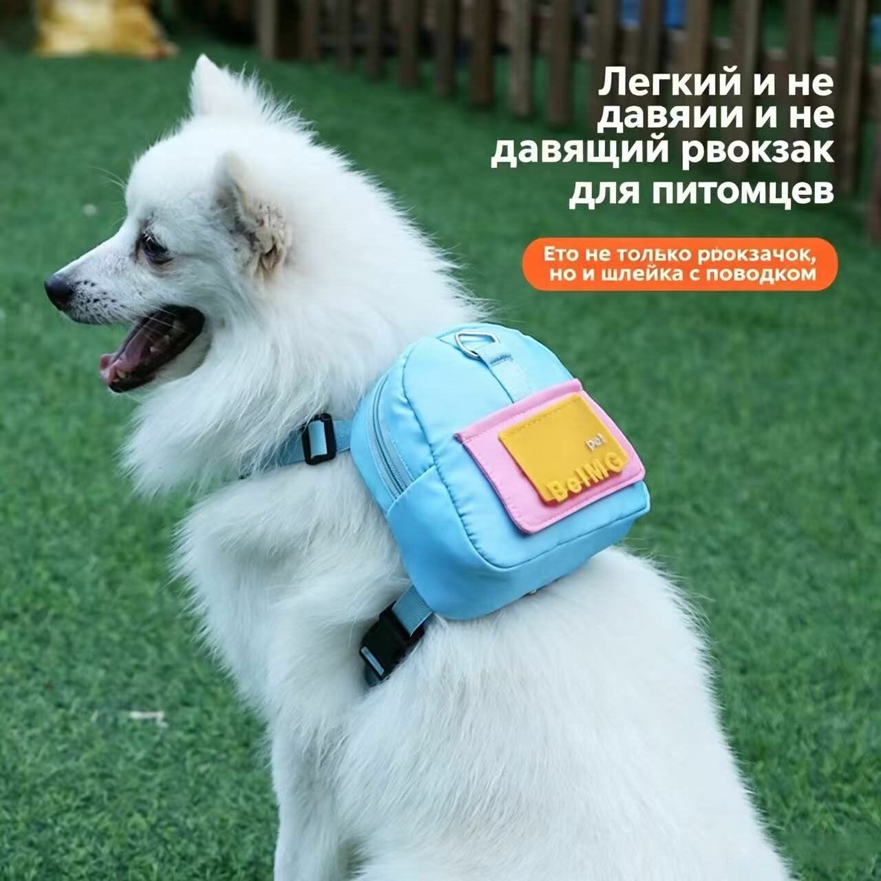 Рюкзаки для маленьких и средних собак