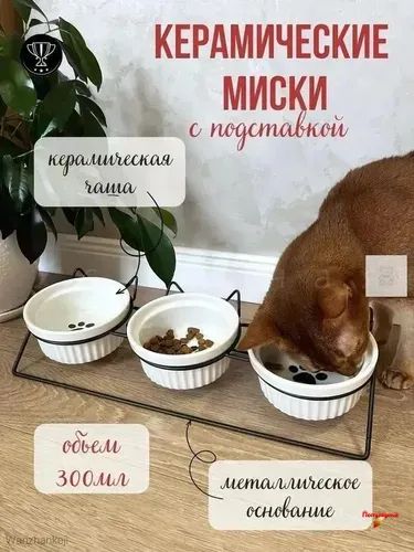 GM Миска для собак и кошек керамическая тройная