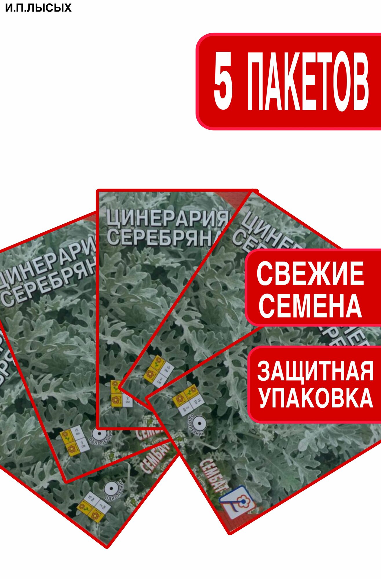 Семена Цинерария "Серебряная"