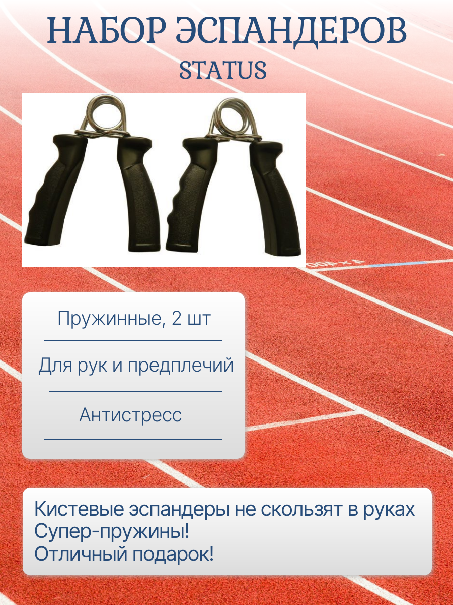 Эспандер STATUS, пружинный, кистевой, антискользящая ручка, 2 шт.