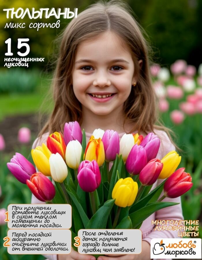 Тюльпан Луковица, Микс сортов, 15 шт неочищенные
