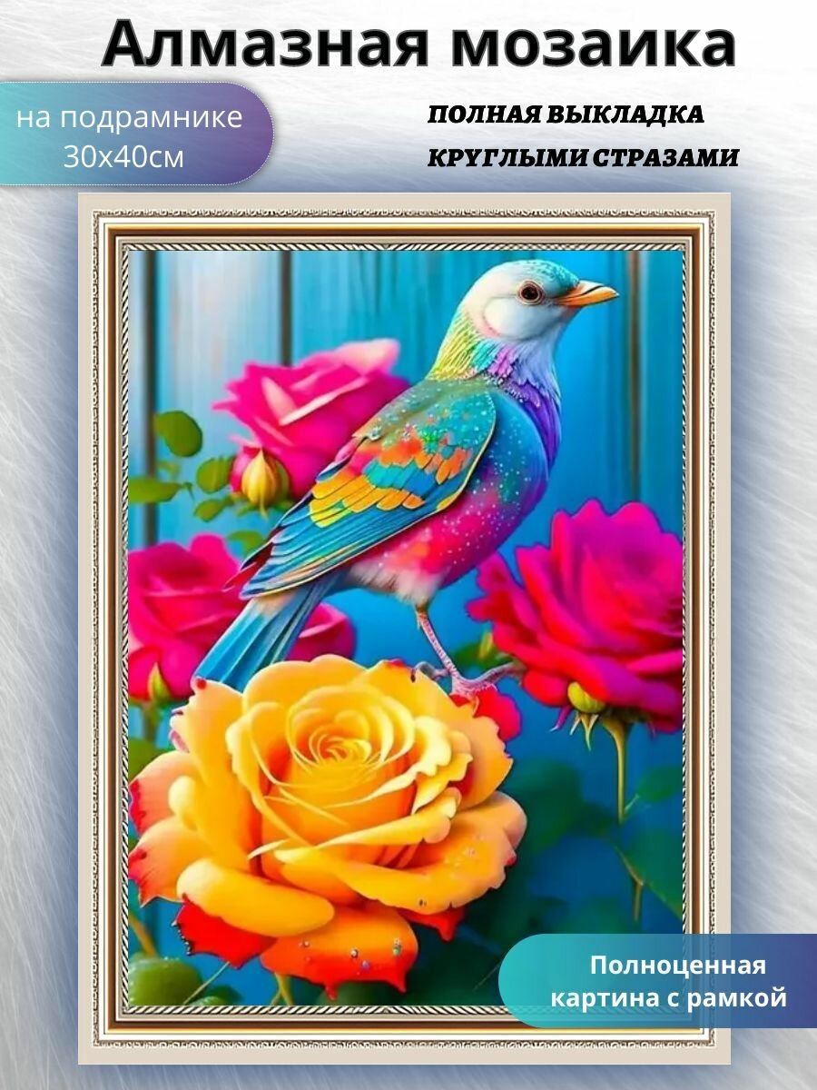 Алмазная мозаика 30х40 на подрамнике Птица полная выкладка