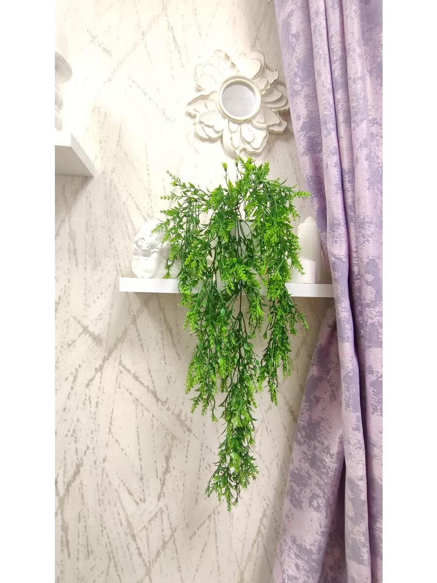 Ампельное растение Тархун в кашпо