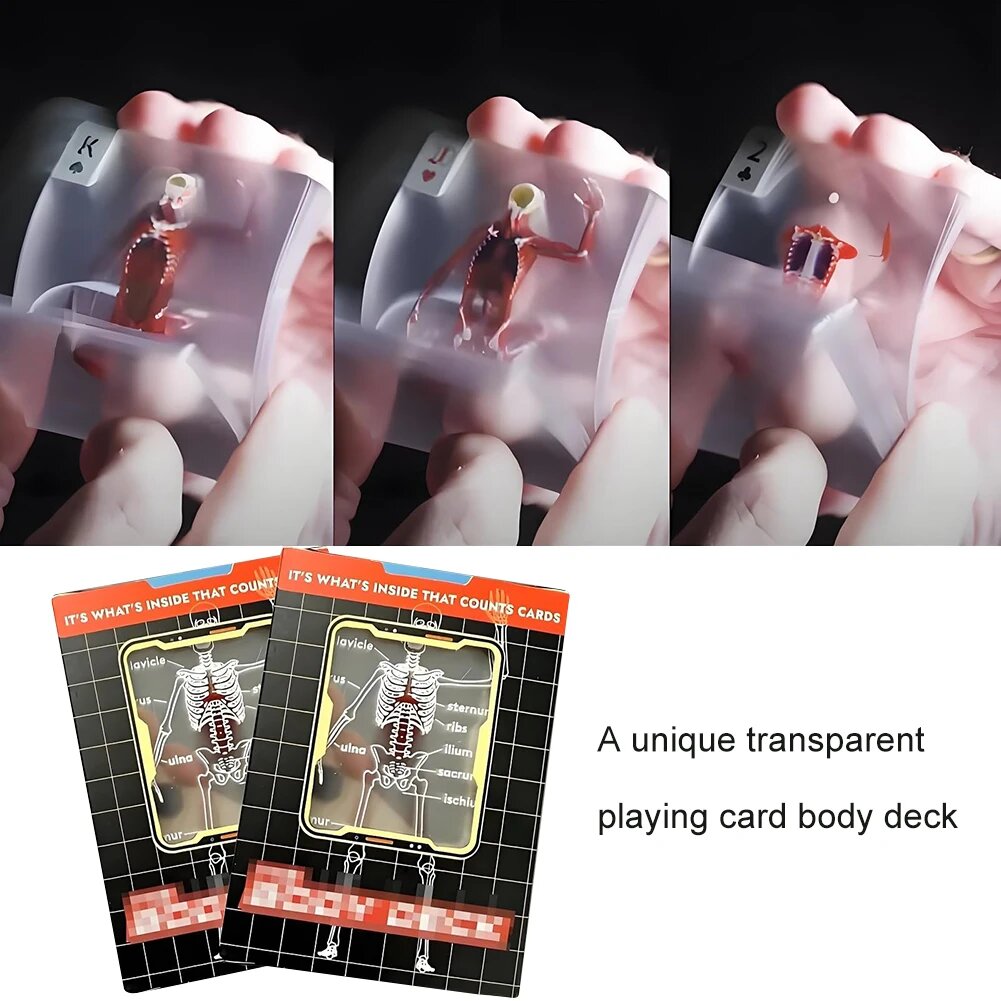 ALLOYSEED The Body Deck Cards — фото 1