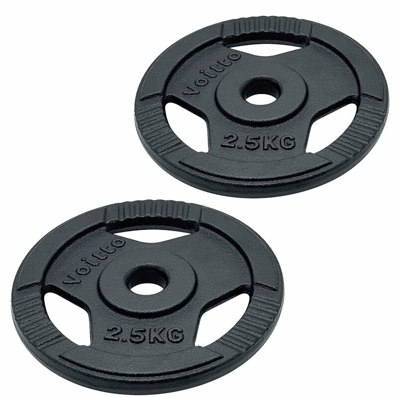 Набор чугунных дисков с 3-мя хватами Voitto V-201 2,5 кг (2 шт) - d26