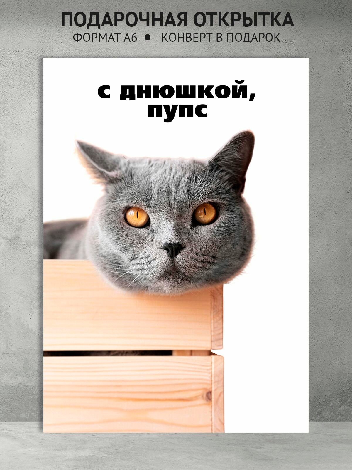 Подарочная открытка с уникальной иллюстрацией котик "С днюшкой, пупс" с днем рождения, с юбилеем